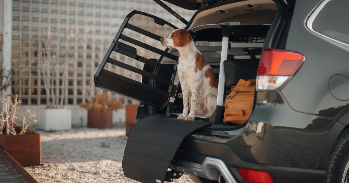 Thule shows how to “Bring your life” | Dealerfloor
