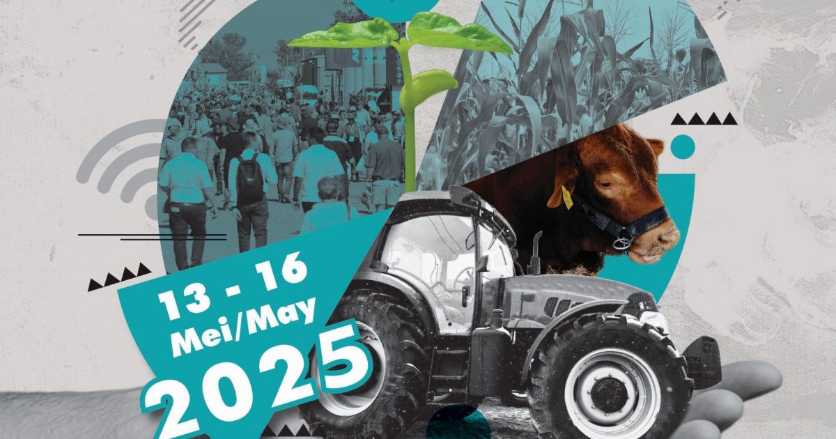 Nampo Harvest Day 2025 is in full swing | Dealerfloor